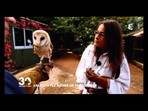The job of falconer / Le métier de fauconnier au Puy du Fou (30 ...