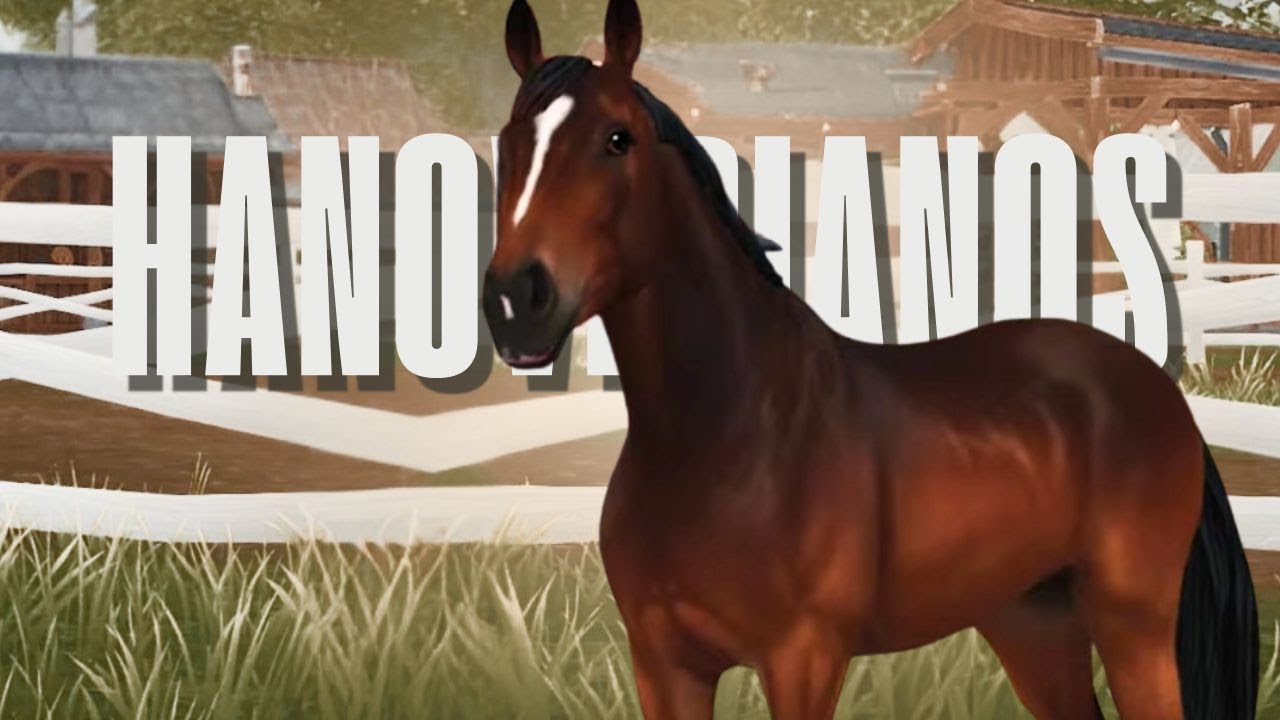 [SSO] SPOILER DOS NOVOS CAVALOS HANOVERIANOS DO STAR STABLE ONLINE ...
