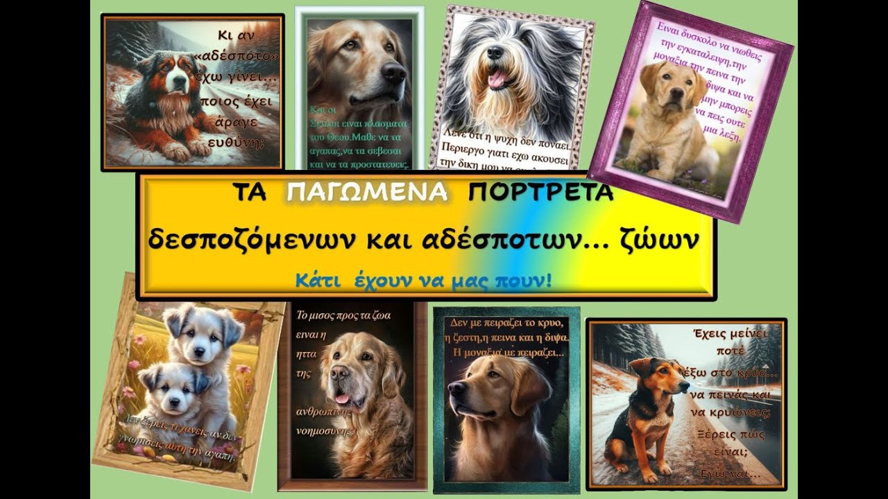 🐾ΤΑ ΠΑΓΩΜΕΝΑ ΠΟΡΤΡΕΤΑ δεσποζόμενων και αδέσποτων… 🐕ζώων!!!Κάτι έχουν να ...