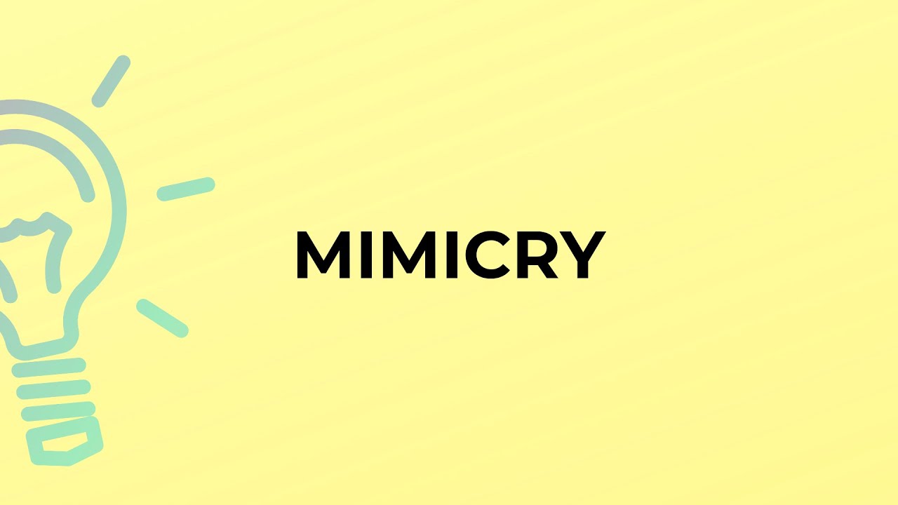 What is the meaning of the word MIMICRY? - YouTube