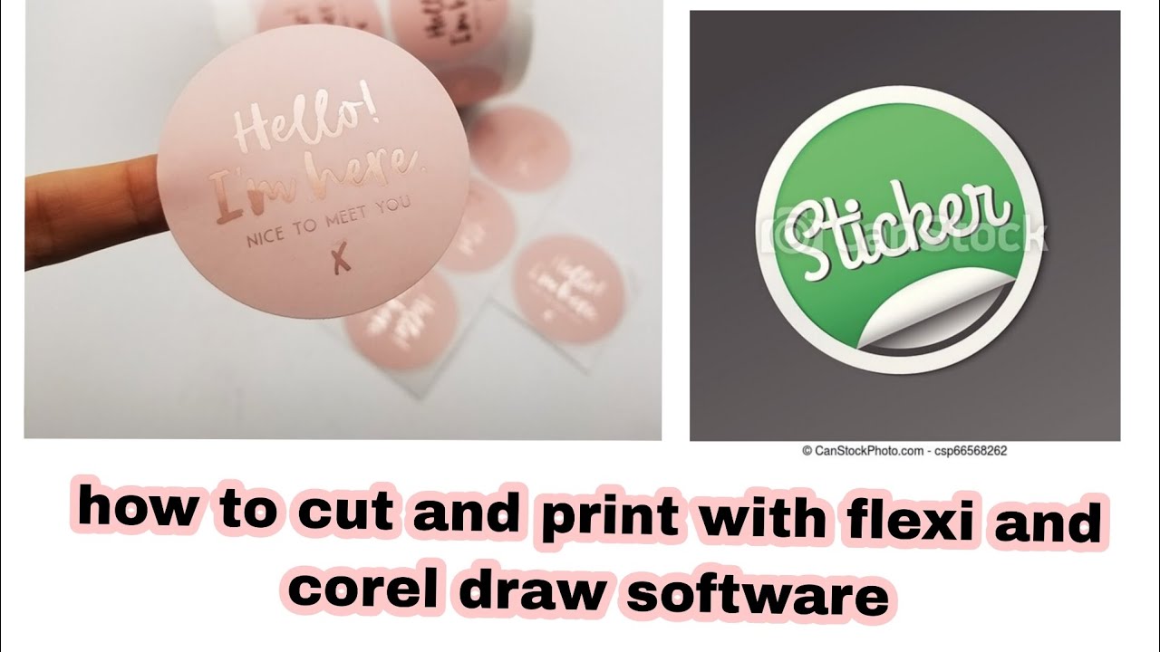 how to cut and print with flexi | Corel draw | skycut plotter | aary ...
