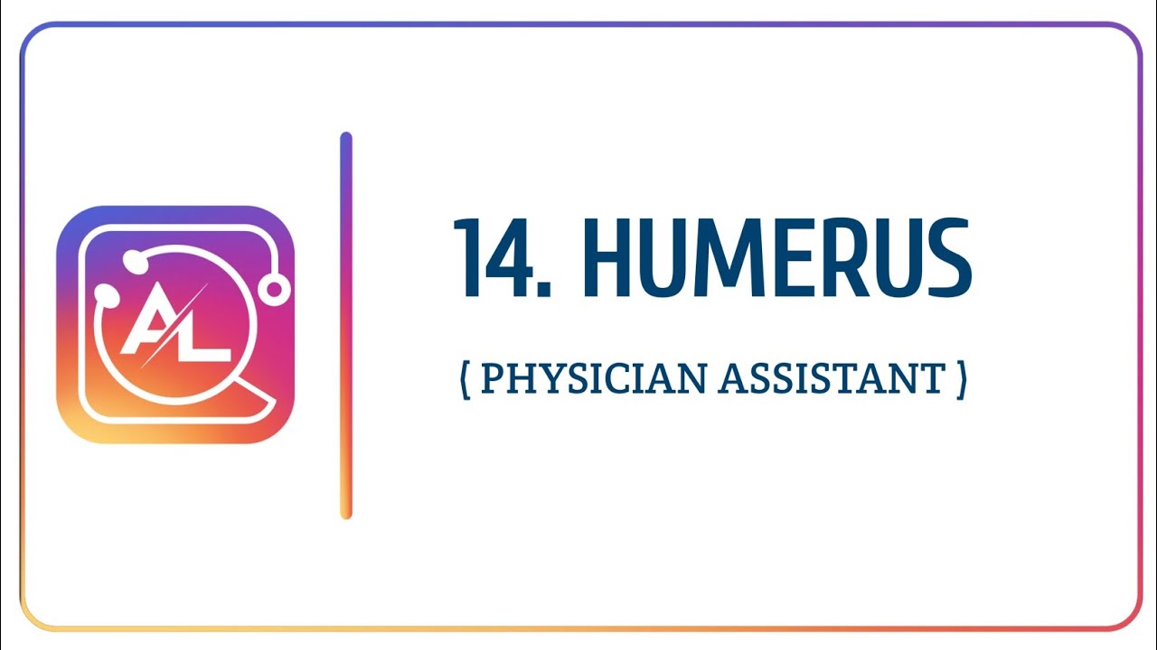 HUMERUS | LECTURE 14 | PA | ALLIED LECDEM. - YouTube