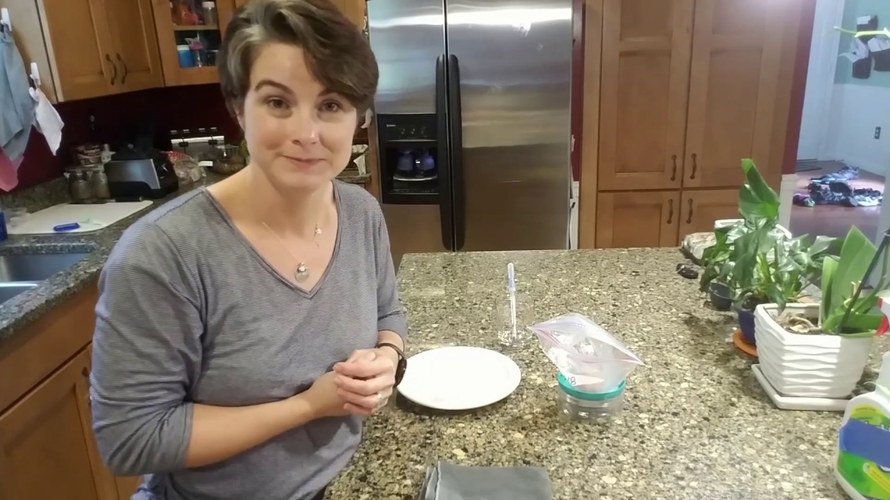 Chicken Demo Sweep to Clean - YouTube