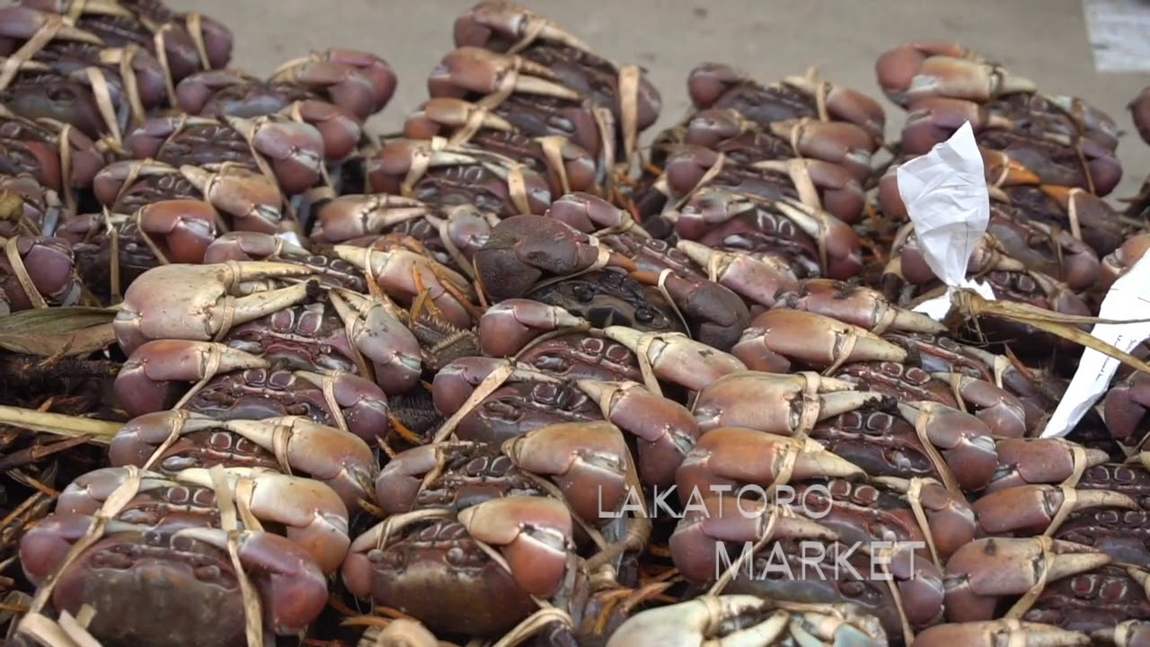 Market Lakatoro, Malekula Island - YouTube
