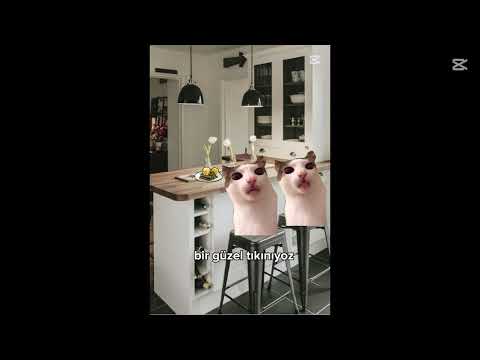 Lanetli bina 2.bölüm mini dizi