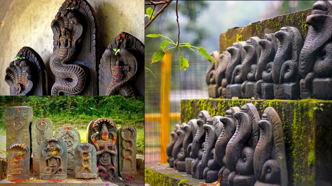 Snake Goddess MANASA DEVI | The Snake Festival of Bishnupur | Nag ...