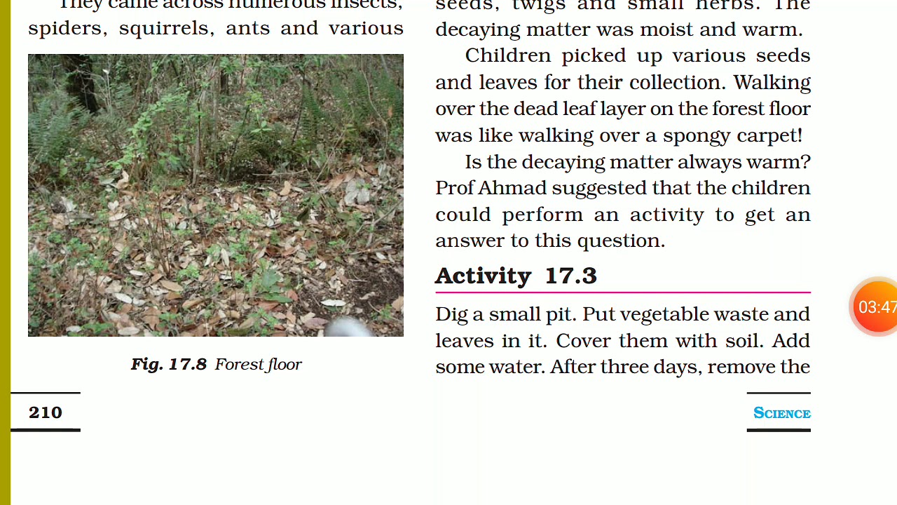 CLASS 7 science chap.17"FOREST ; OUR LIFE LINE" ncert - YouTube