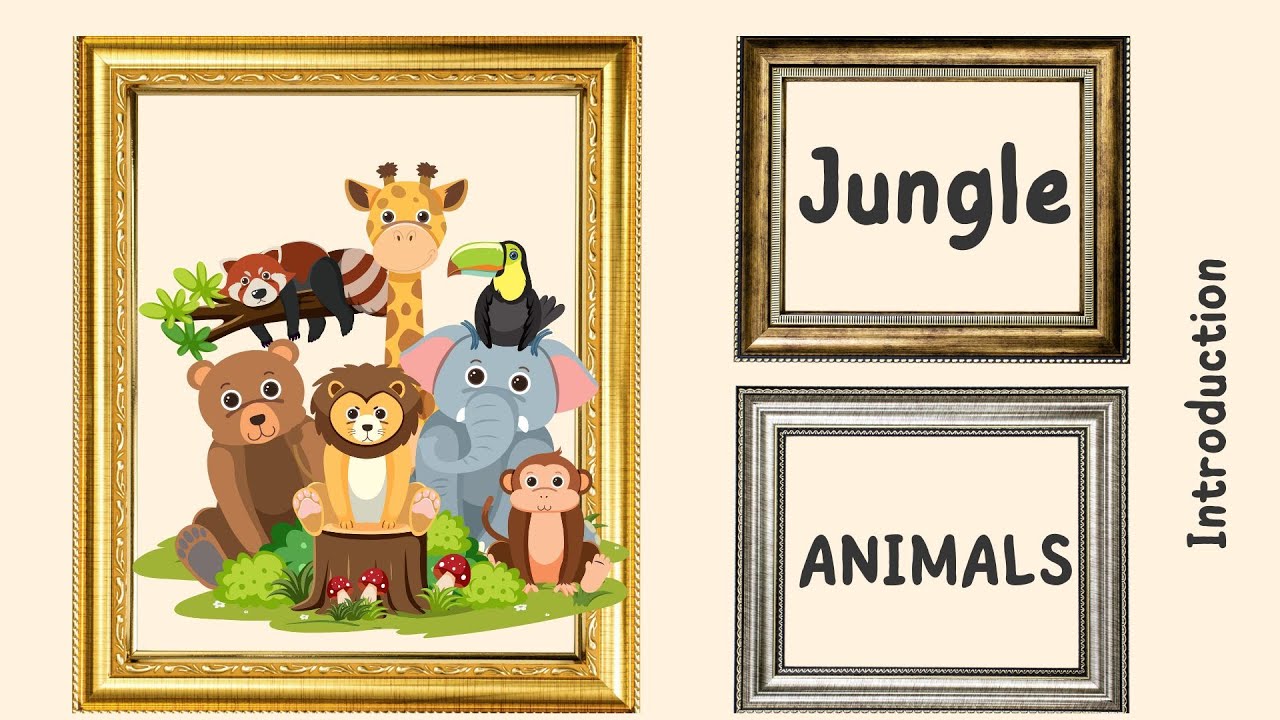 Meet the Jungle Animals | Easy Animal Introduction for Kids - YouTube
