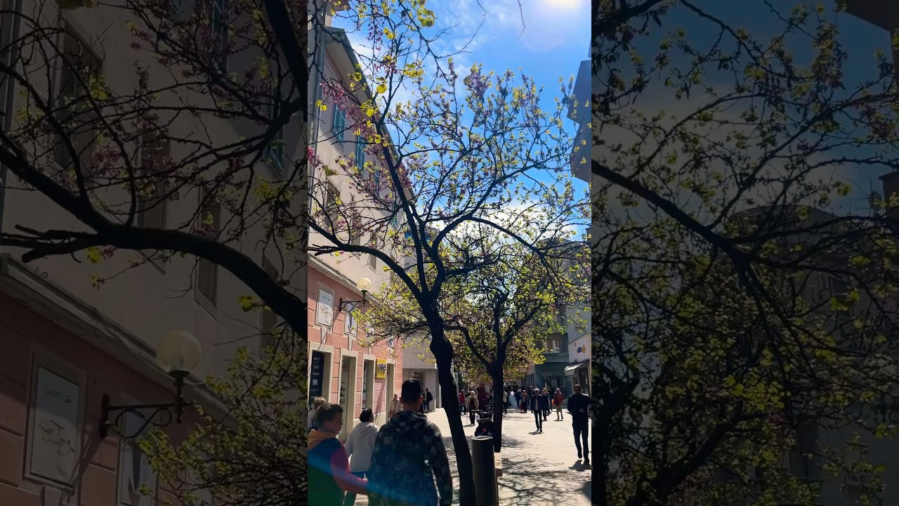 Mjesni Odbor Stari Grad,Pula - YouTube