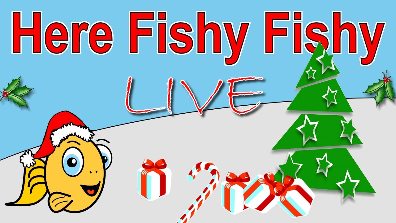 Live - Here, Fishy, Fishy! - YouTube