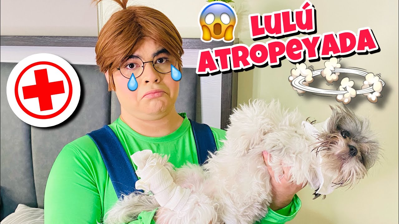 Atropellan a mi mascota Lulú / Soy Meme - YouTube