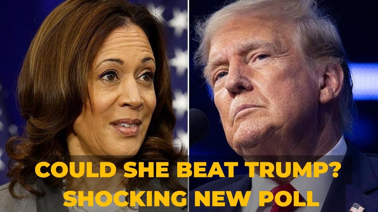 SHOCK POLL: Harris BEATS Trump - See Voters React to New Ipsos / ABC ...