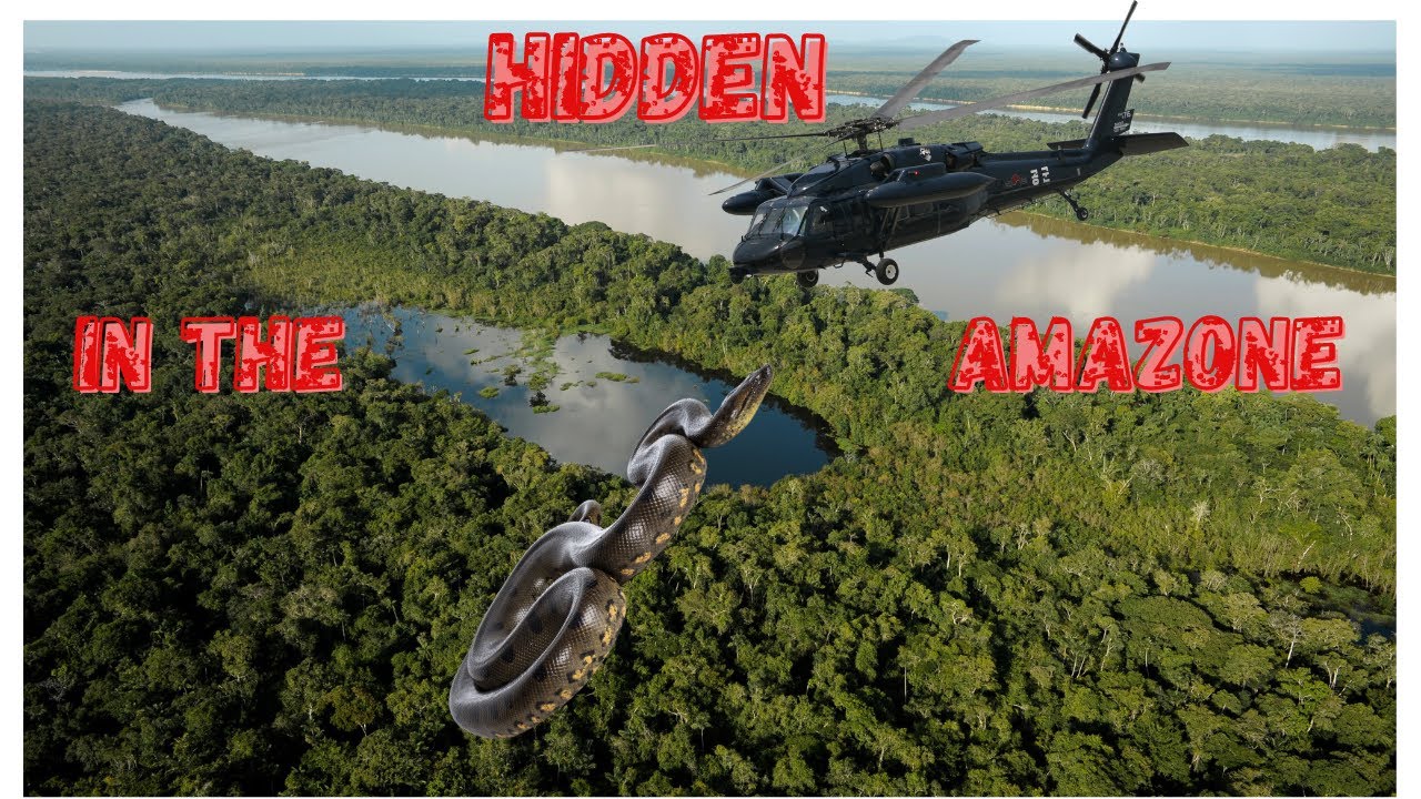 The Amazon Rainforest And It's Hidden Secrets - YouTube