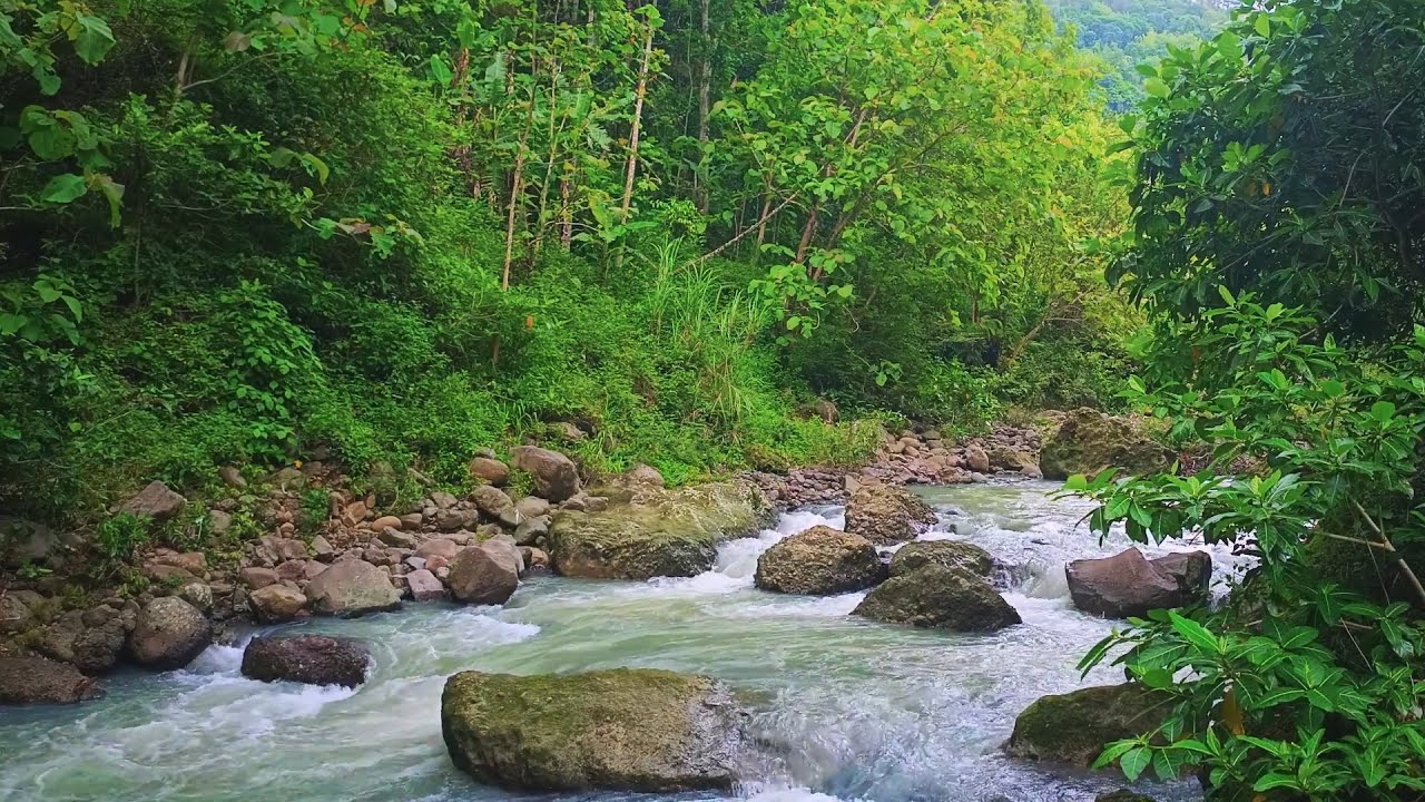 Gentle Stream Sounds Relaxing Stream Sounds use for Relaxation, Sleep ...