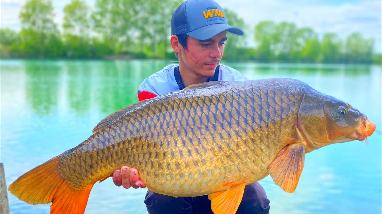 Pêche de la carpe en eau cristalline et carpe à vue 😱(10-12m de fond) - YouTube