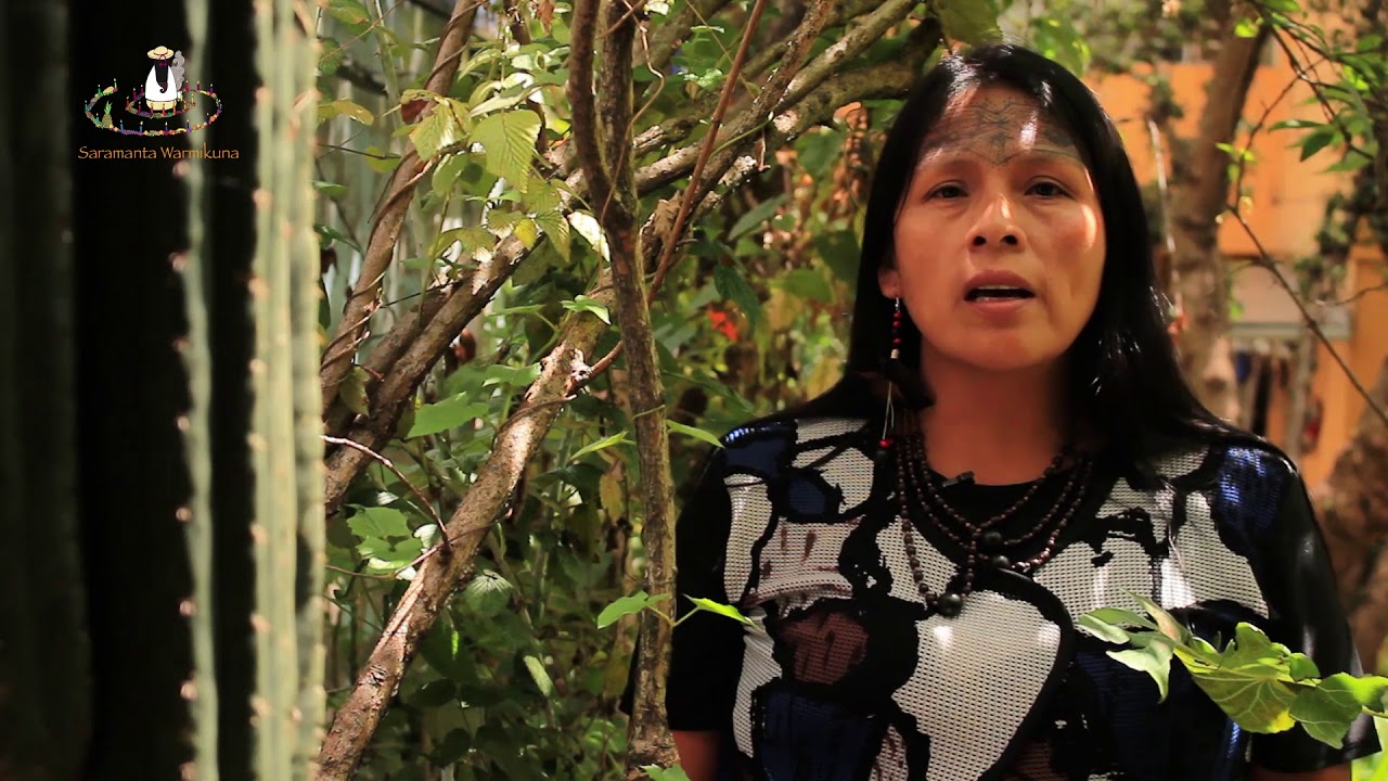 Desarrollo sin destrucción Rosa Aranda - YouTube