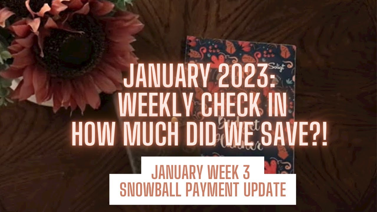 DEBT SNOWBALL UPDATE & WEEKLY CHECK IN | January Paycheck 3 | Paying ...