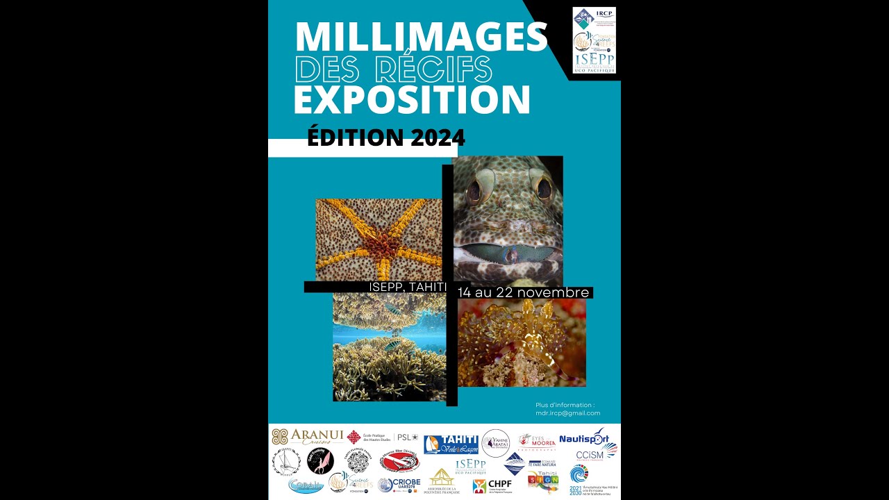MILLIMAGES DES RECIFS - VERNISSAGE 2024 - YouTube