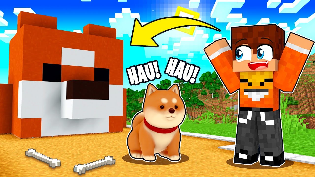 Zbudowaliśmy DOMEK DLA PIESKA SHIBA w Minecraft! - YouTube