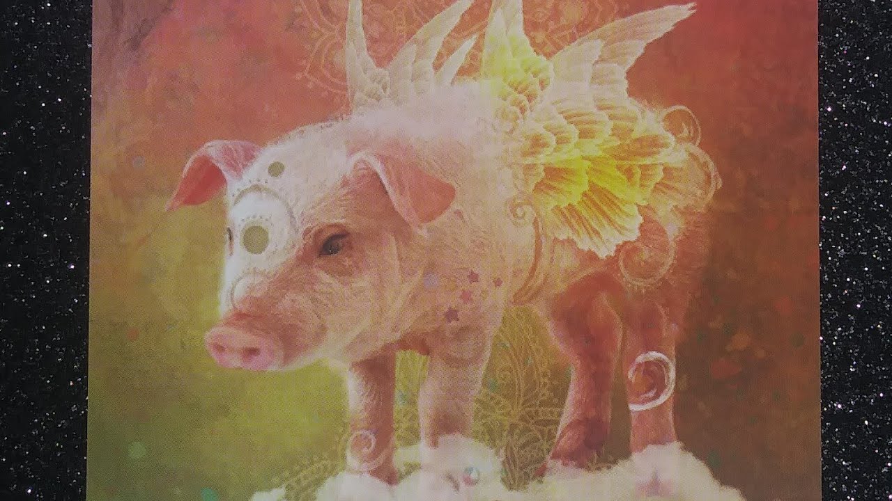 Pig Spirit Daily Guidance #pig #spirit #message #wisely #beautiful # ...