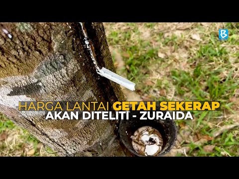 HARGA LANTAI GETAH SEKERAP AKAN DITELITI - ZURAIDA - YouTube