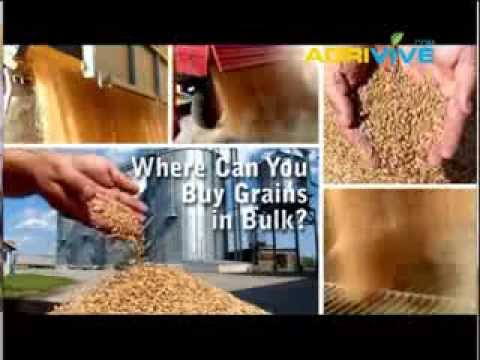 Purchase Bulk Grains, World Grain Supply, All Grain Brewing Supplies ...