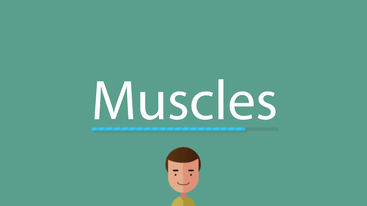 How to say Muscles - YouTube