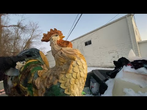 Dumpster diving and found a chicken in the dumpster! - YouTube