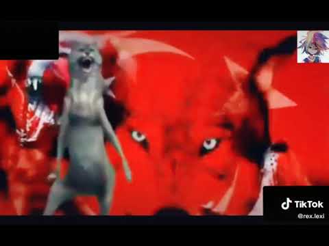 Türkü türk yapan video []