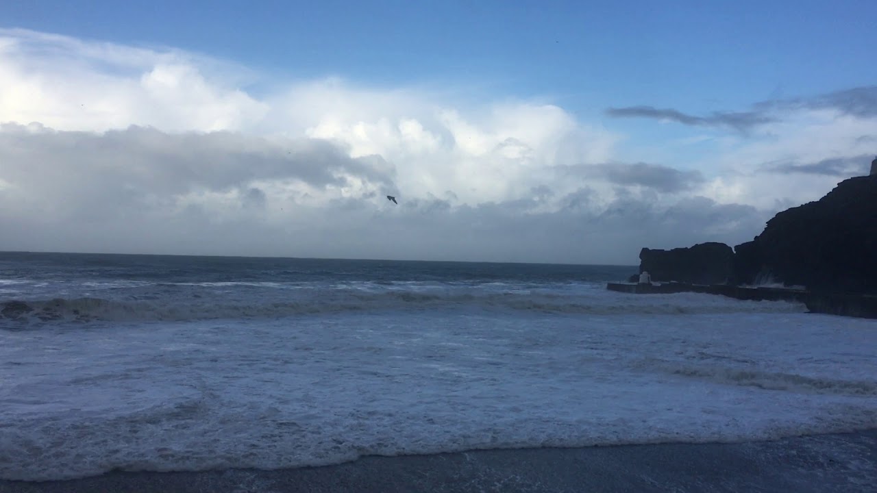 windy day by the sea - YouTube