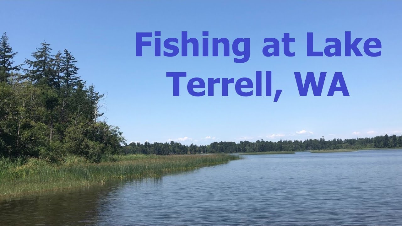 Fishing at Lake Terrell, WA 7-24-18 - YouTube