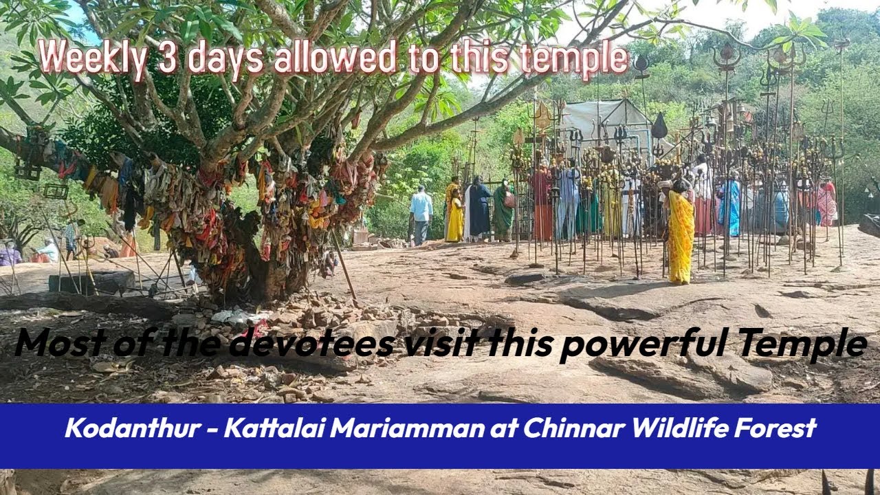 Exploring the Untamed Beauty of Kattalai Mariamman | Chinnar Wildlife ...