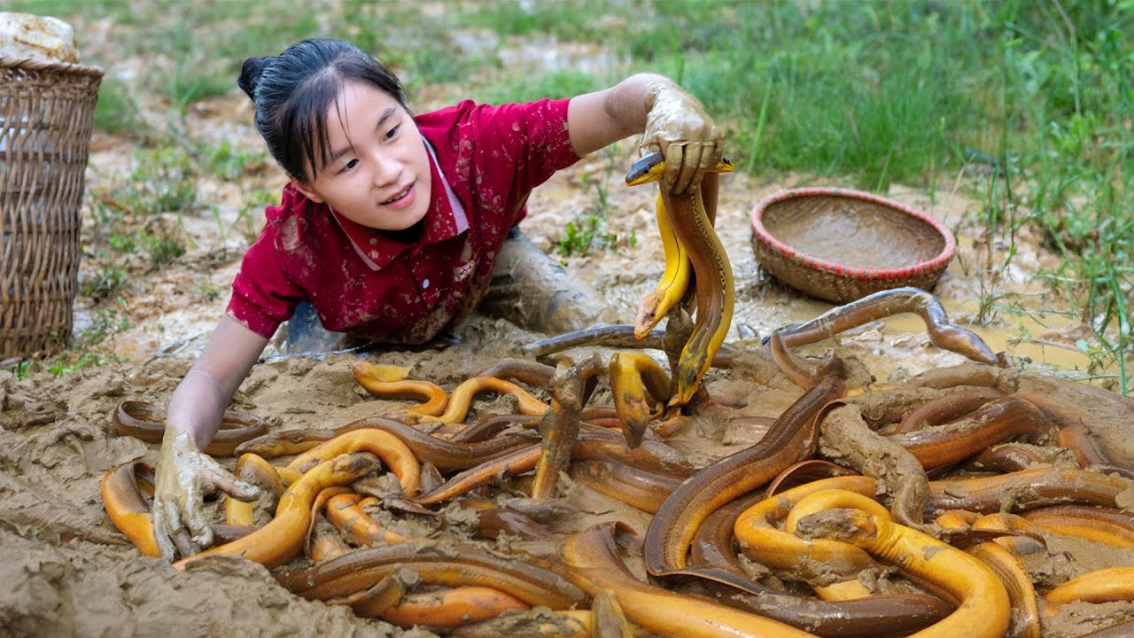 Harvest Big Snake Eel Using The Ancient Method | Survival Fishing ...