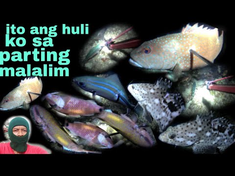 ep45 night spearfishing,ito ang huli ko sa parting malalim, - YouTube