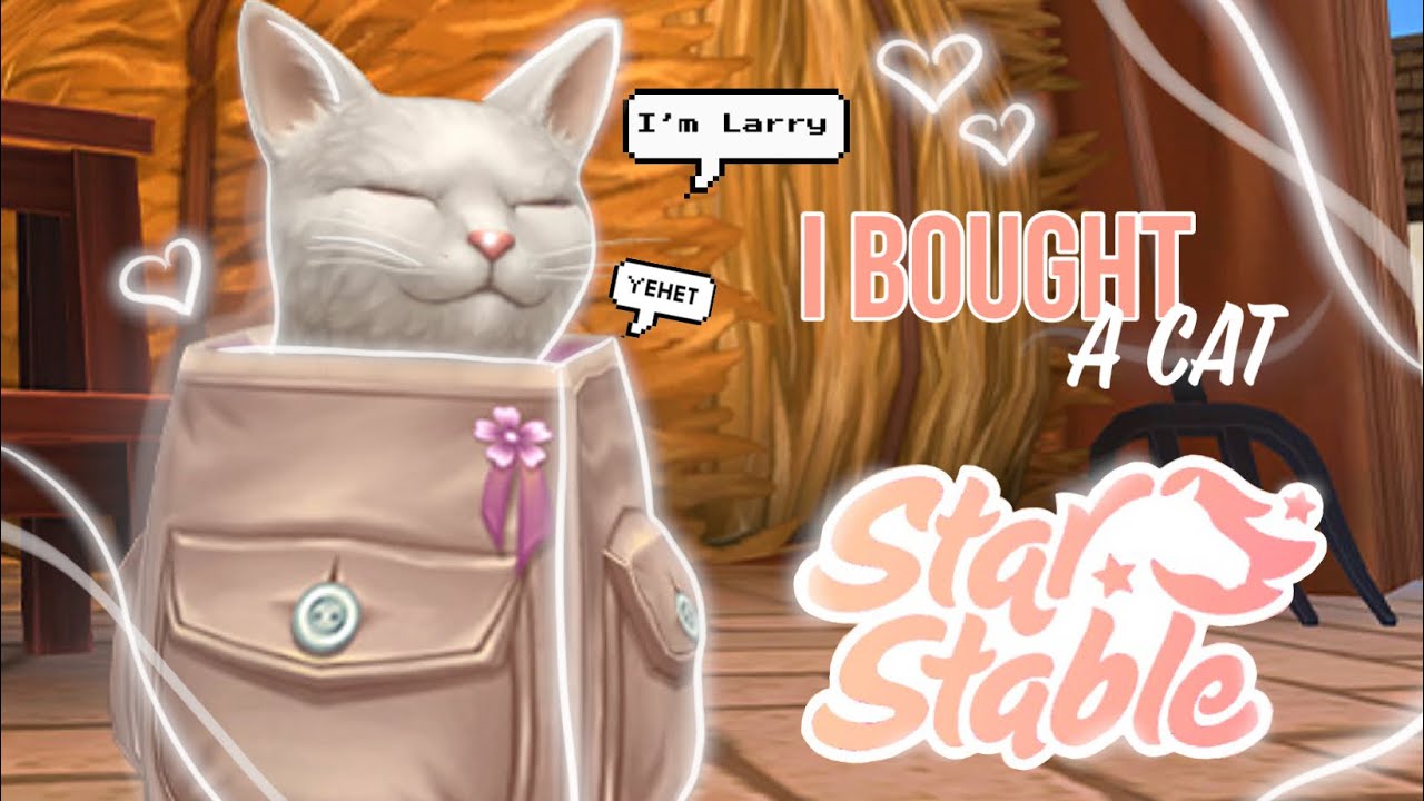 Star Stable | I….got a cat (for my birthday) 🐈 - YouTube