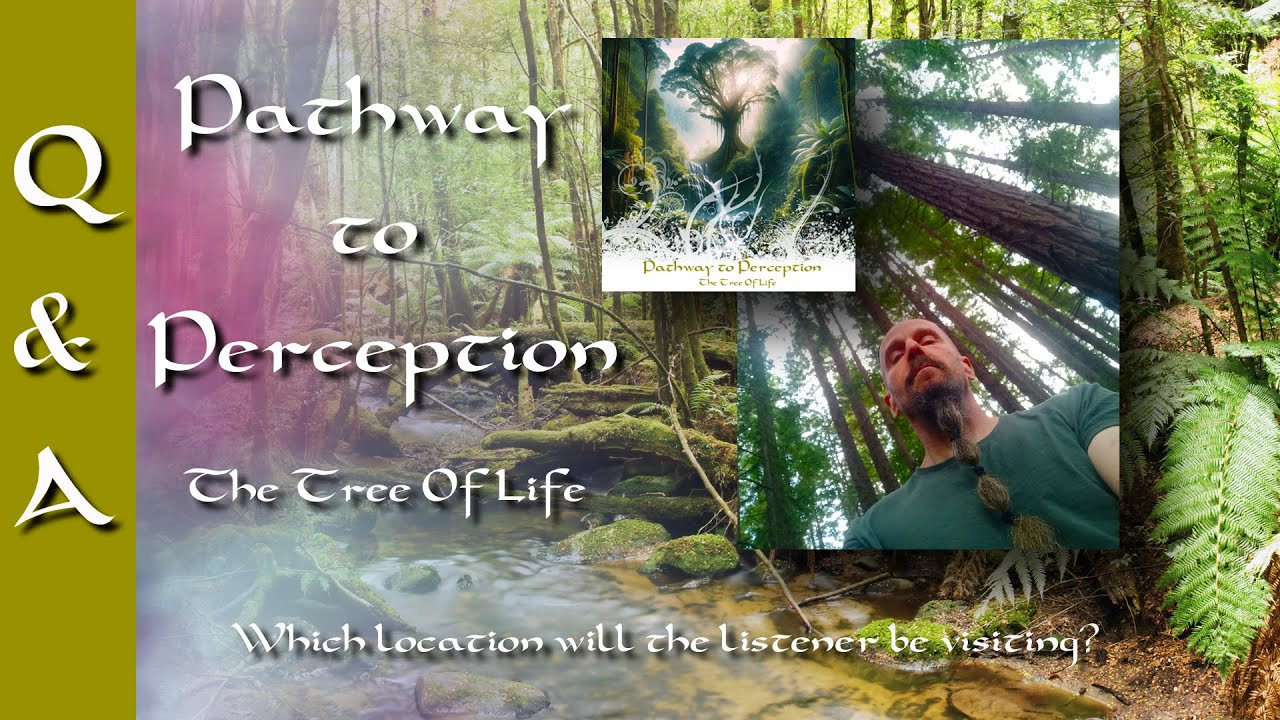Pathway to Perception - The Tree Of Life - Q&A - YouTube