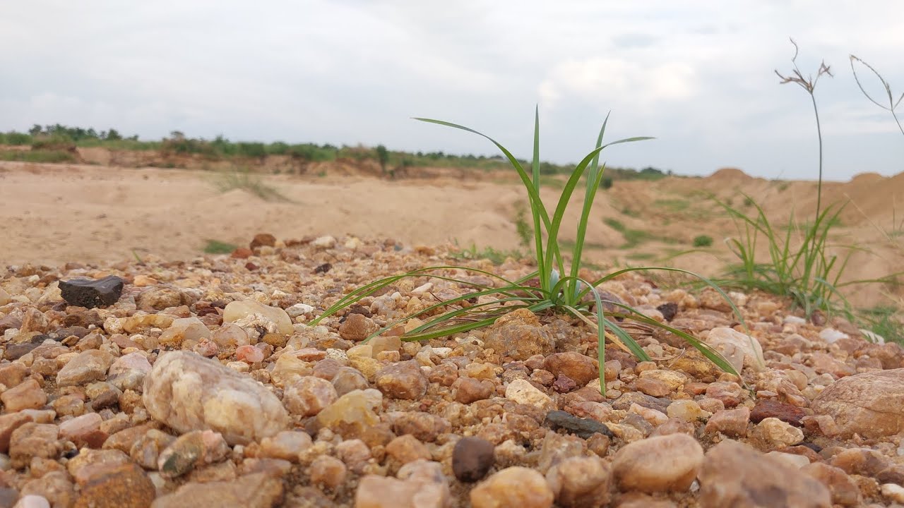Ajoy river 4k video || অজয় নদ || অজয় এবং হিংলো নদির মহনা || 2023 ...