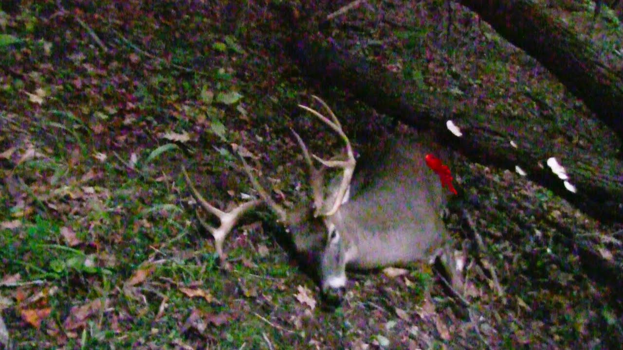 GIANT West Virginia Buck Down! 2022 Deer Season Ep. 8 - YouTube