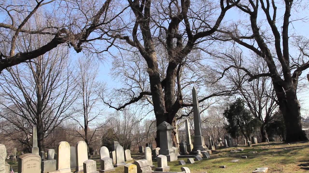 Philadelphia Tree Champions - YouTube