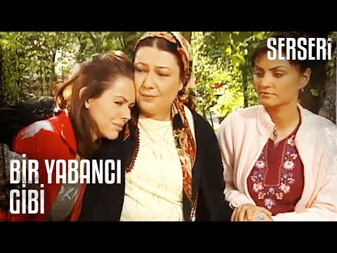 Eylül, Ömer'i Elde Edemedi - Serseri 16. Bölüm