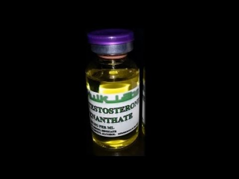 Ultimate Testosterone Subliminal V2 (Kisspeptin + GnRH) - READ ...
