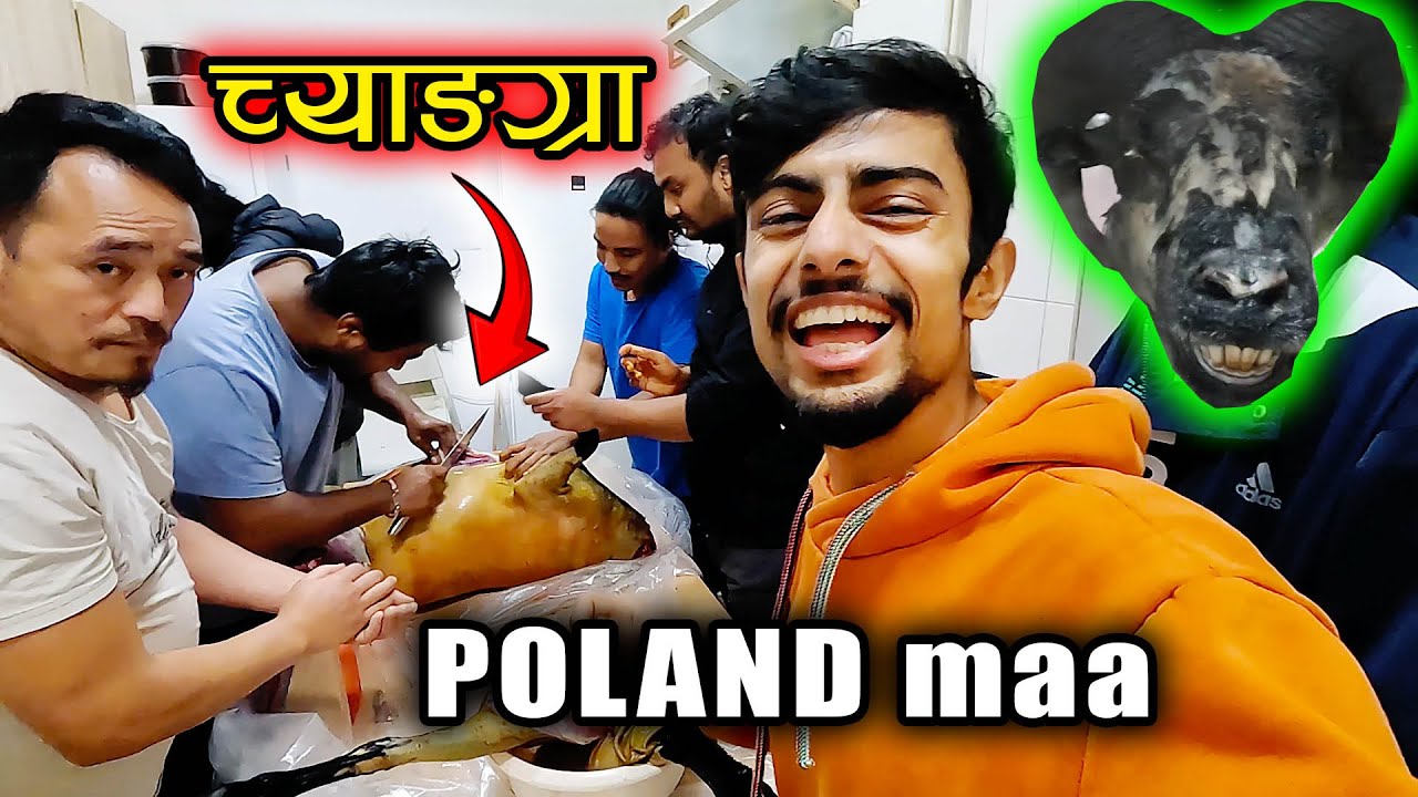 Rs 9000 maa 30 Kg ko Chyangra Payiyo ! Poland Maa Khasi Hunting ...