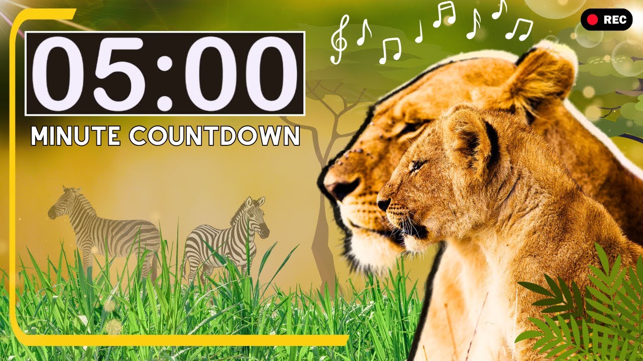 Relaxing Nature African Safari | 5 Minute Countdown Kids Timer | Africa ...
