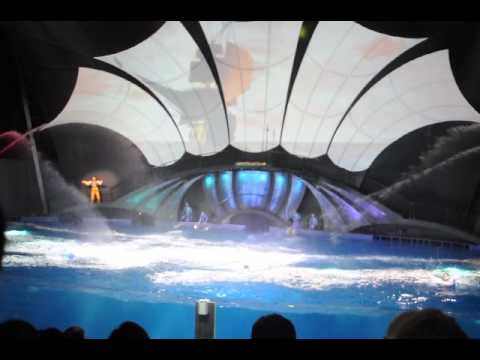 DOLPHIN TALES 3 - YouTube