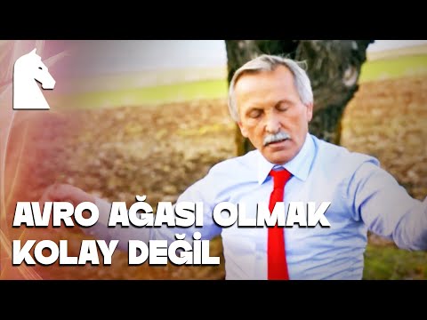 Avro Ağası Olmak Kolay Değil | Arama Moturu