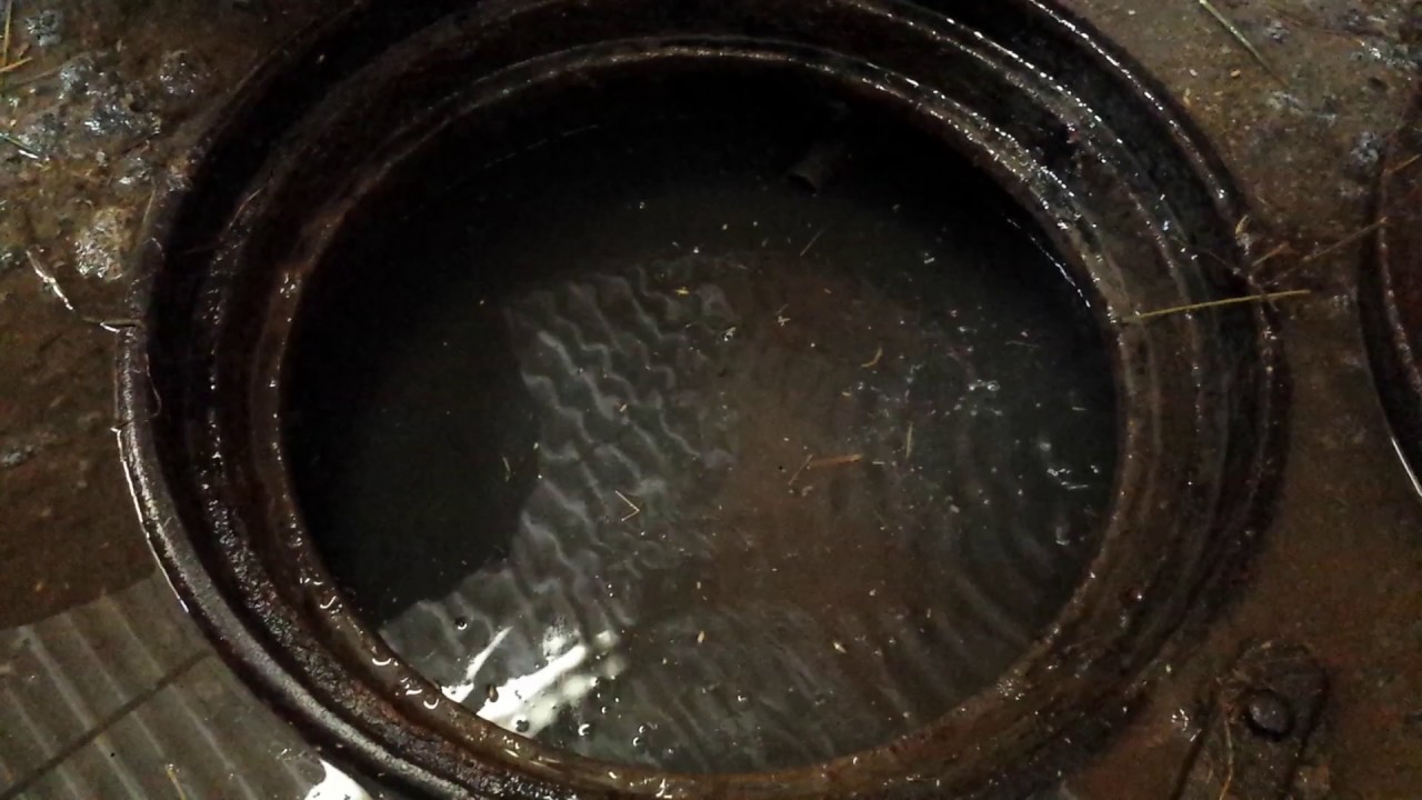 Pozzo Nero - YouTube