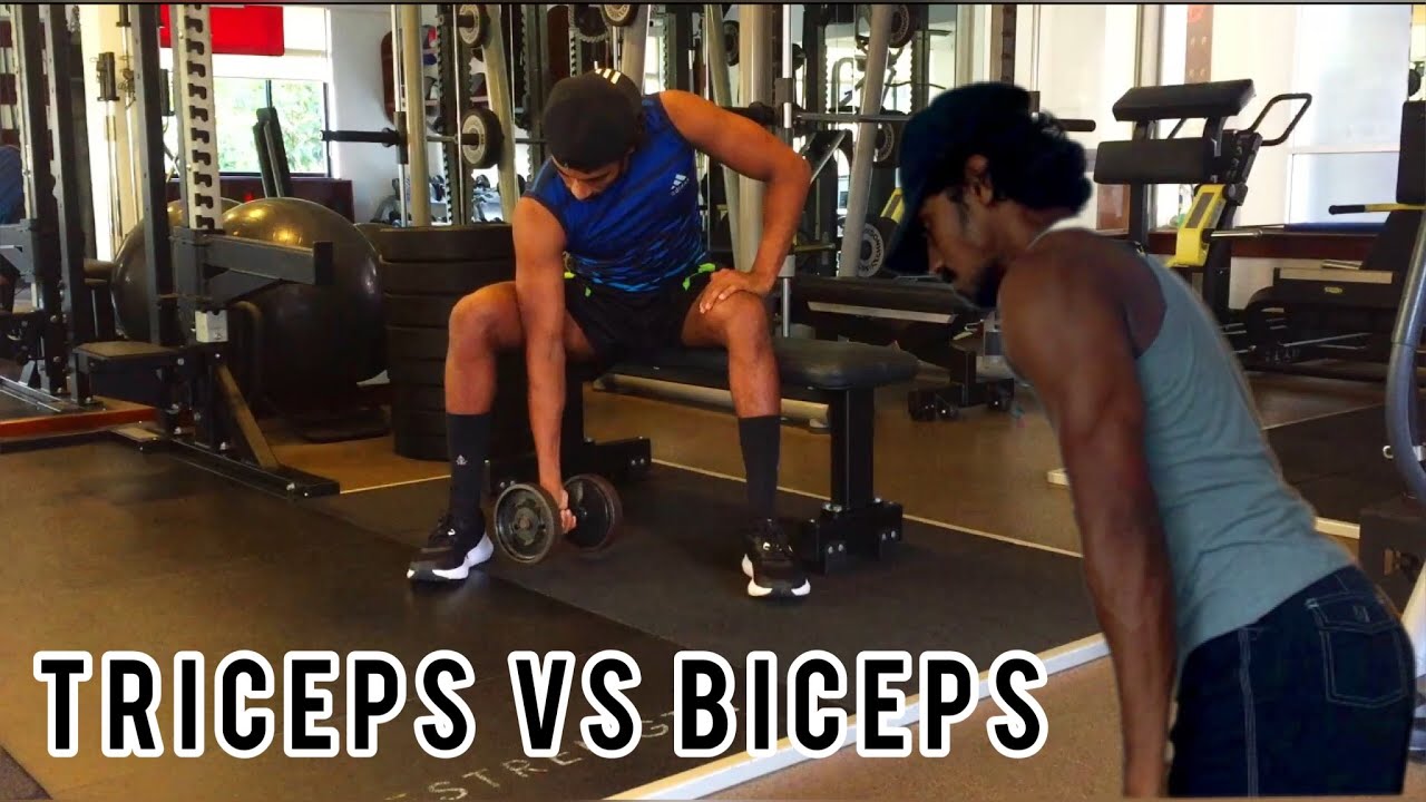 Get Sculpted Arms Fast - Biceps And Triceps Transformations! - YouTube