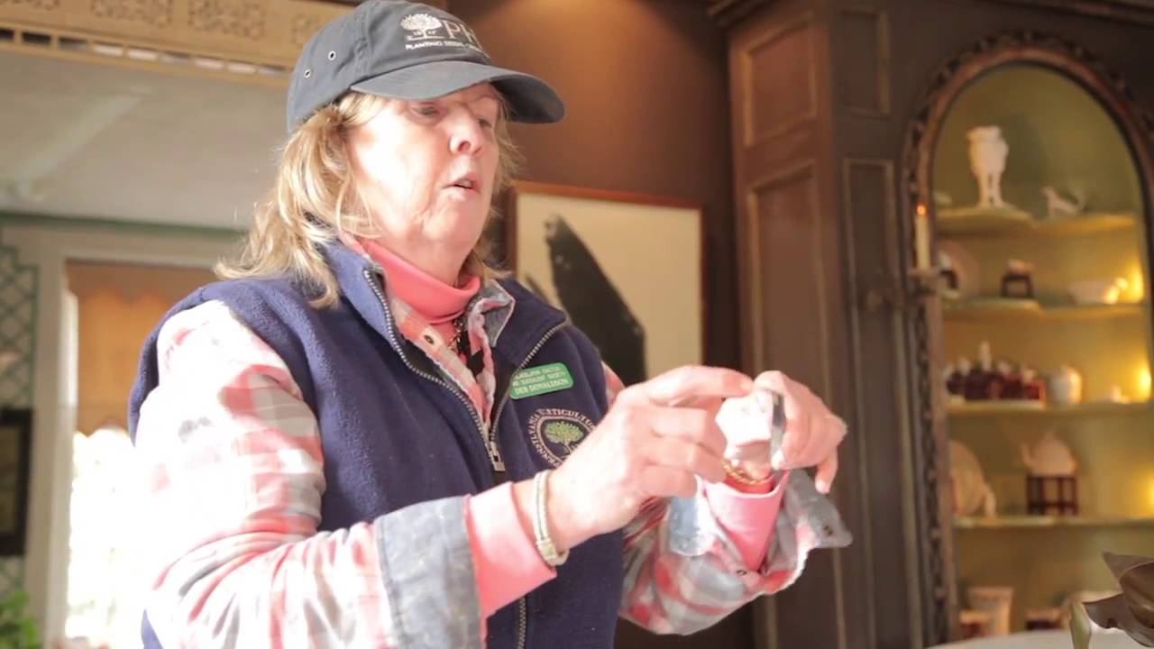 Growing, Grooming, Entering with Deb Donaldson - YouTube