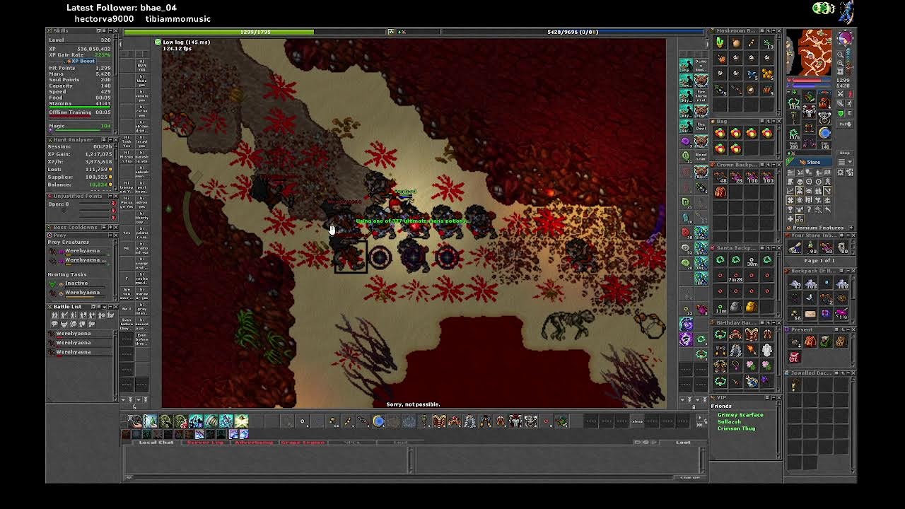 🔴 Tibia PVP & PVE Live Stream - YouTube