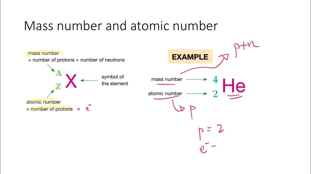 【HKDSE CHEM 化學】Atomic number and mass number - YouTube